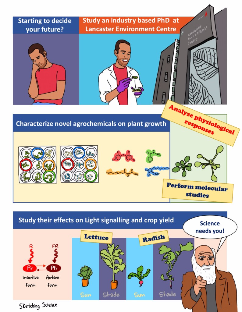 Commissions – Sketching Science